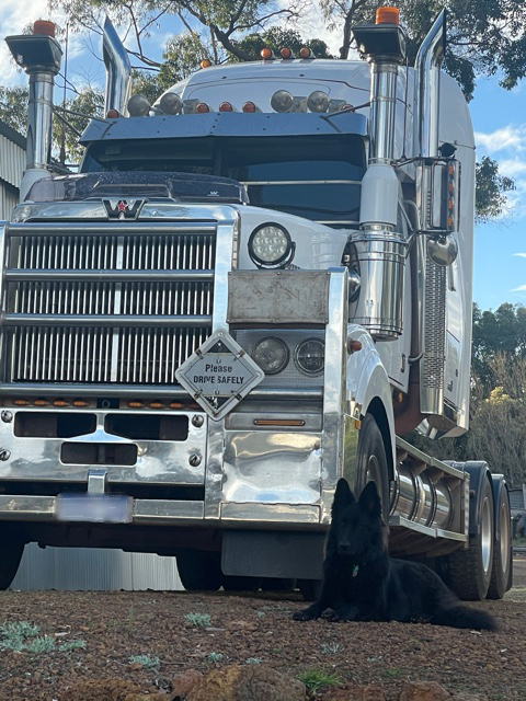 Transport Fleet Western Australia » Mt Barker Machinery Transport
